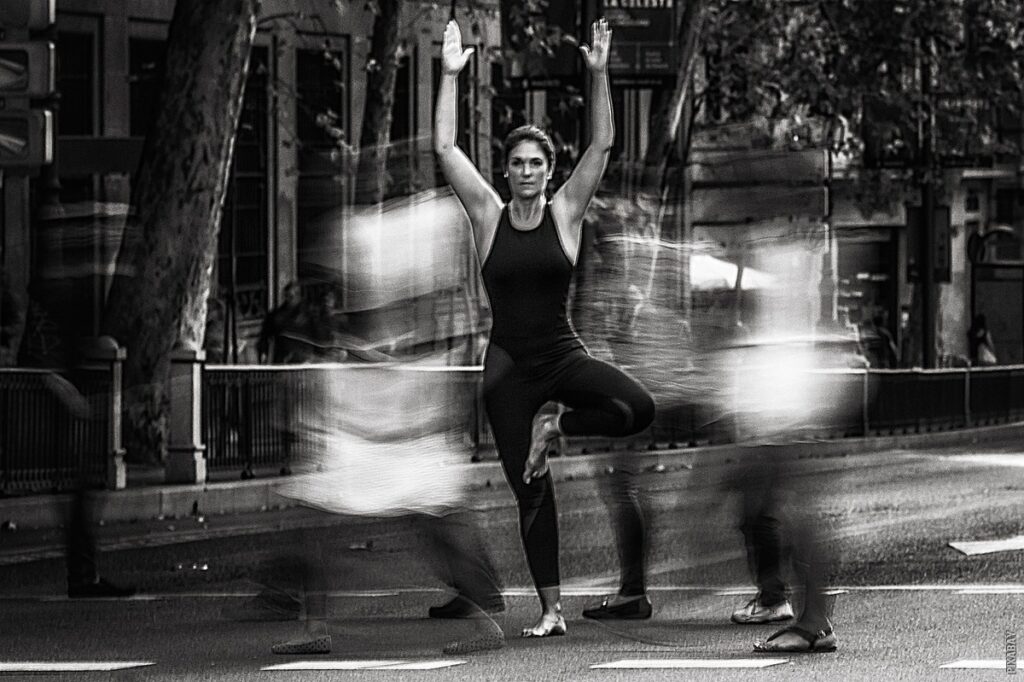 Koje su ptice stanarice - Susjed