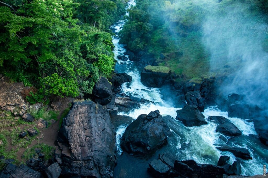 Odakle je Mudja - Susjed