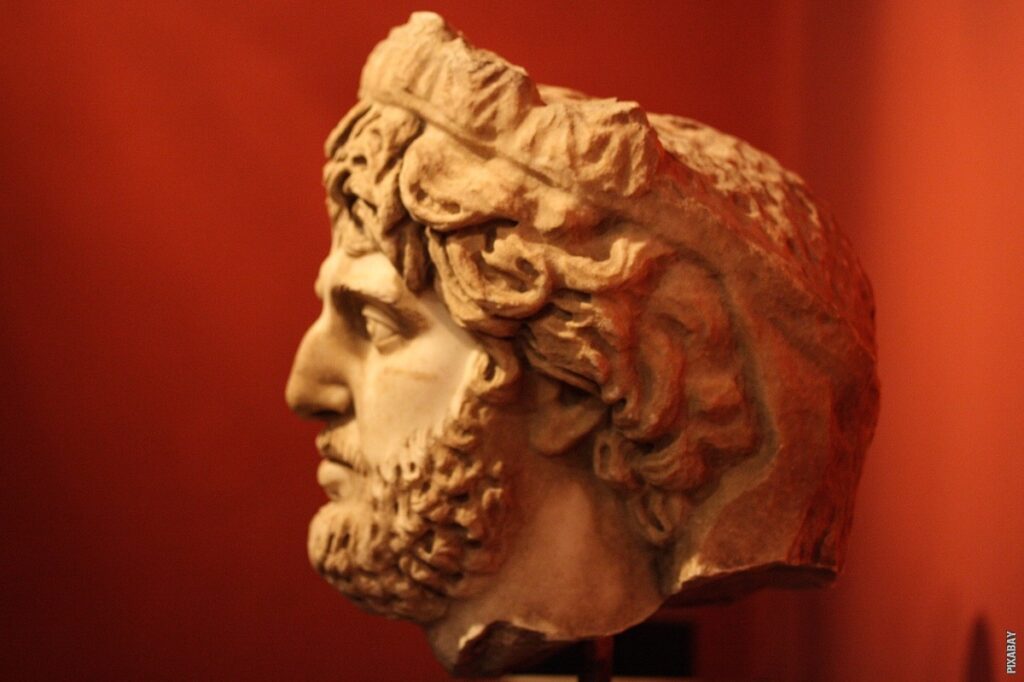 Šta su biste - Susjed